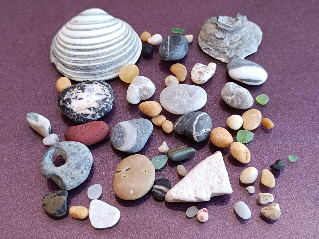Beach Stones & Shells Set: Mediterranean Art Pebbles - Etsy