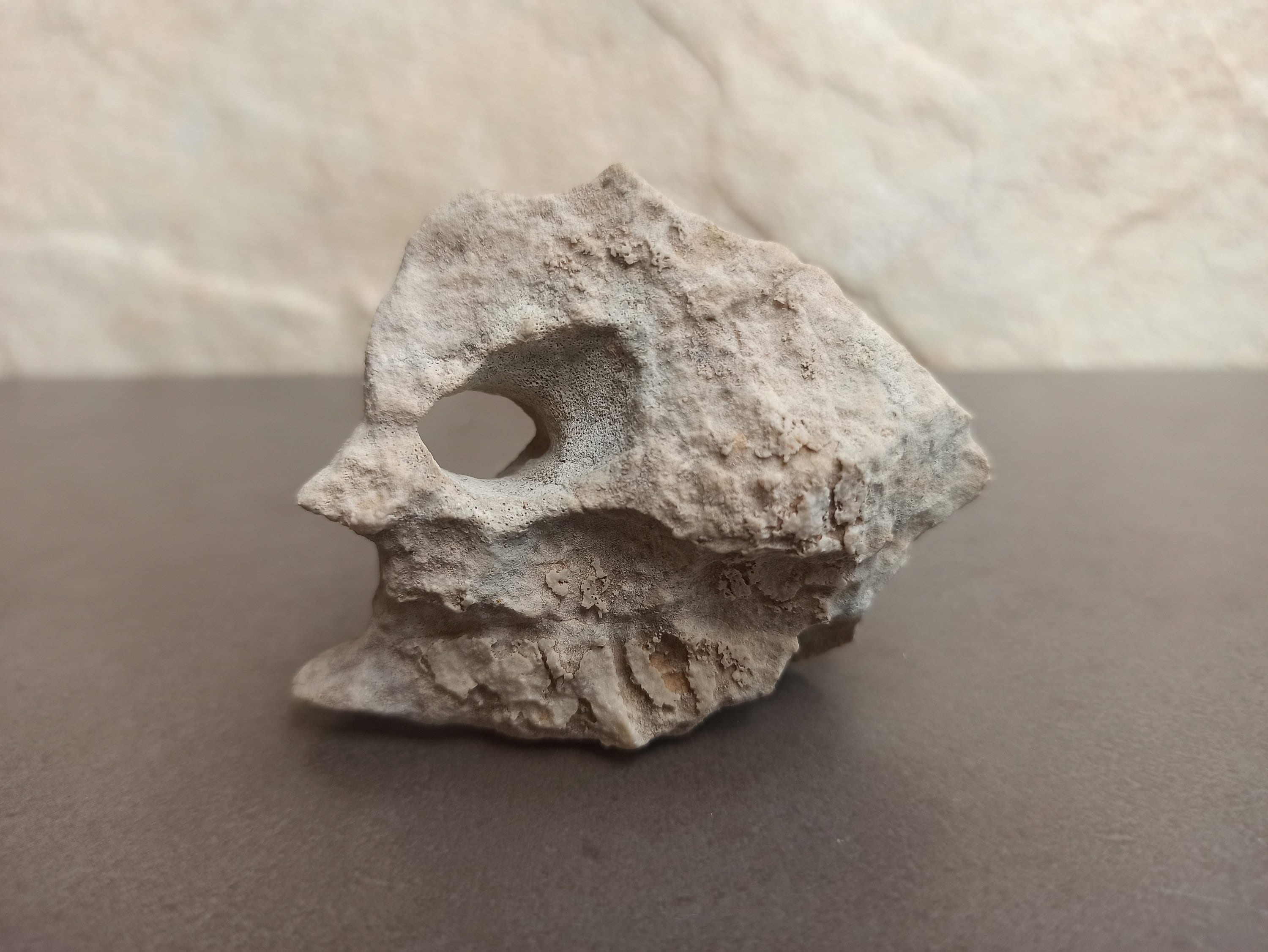 Skull Stone Chicken God Stone Face Beach Stone Rock With - Etsy