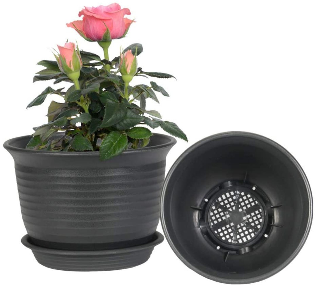 Set of Two Plant Pots, 6 Inches Plastic Planters With Drainage Hole and ...