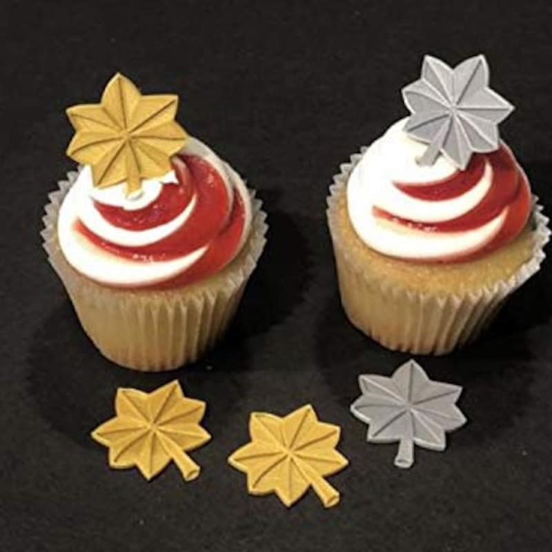 Major Usmc Promotion Gift - 60+ Gift Ideas for 2026