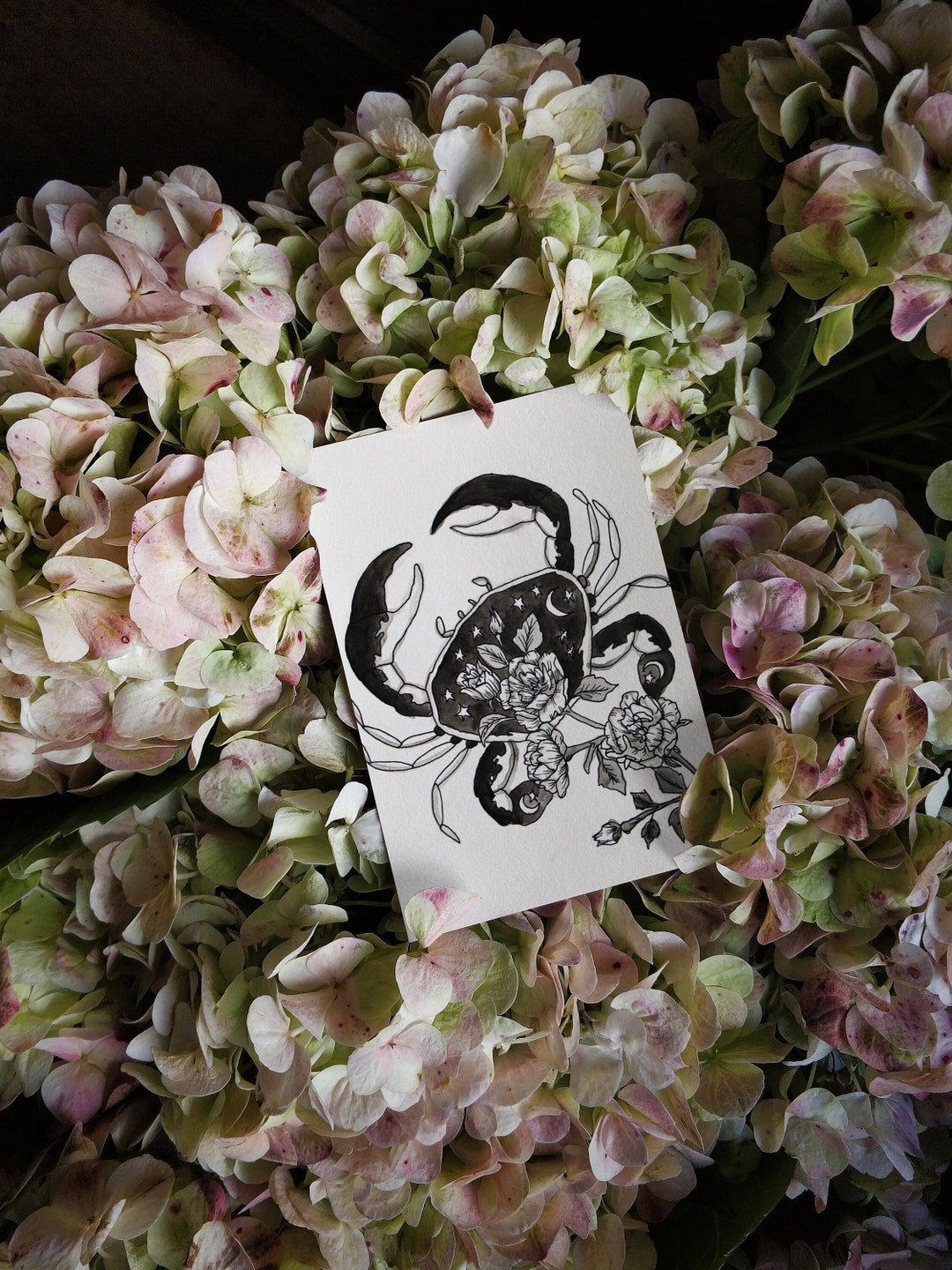 Astrological Flowers Cancer Zodiac - Etsy