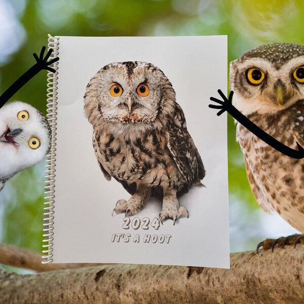 Owl Planner - Etsy
