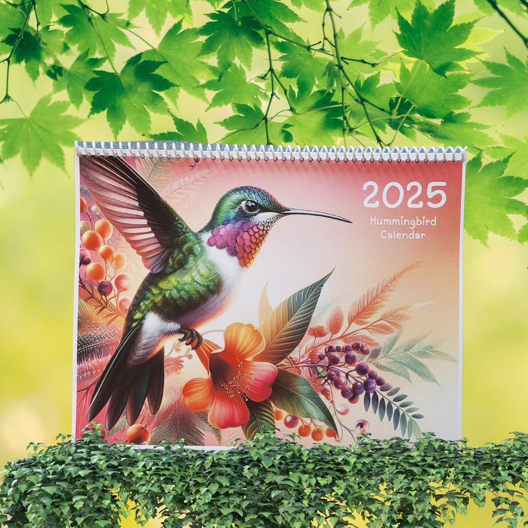 2025 Wall Calendar, Brightly Colored Hummingbirds, Hanging Calendar ...