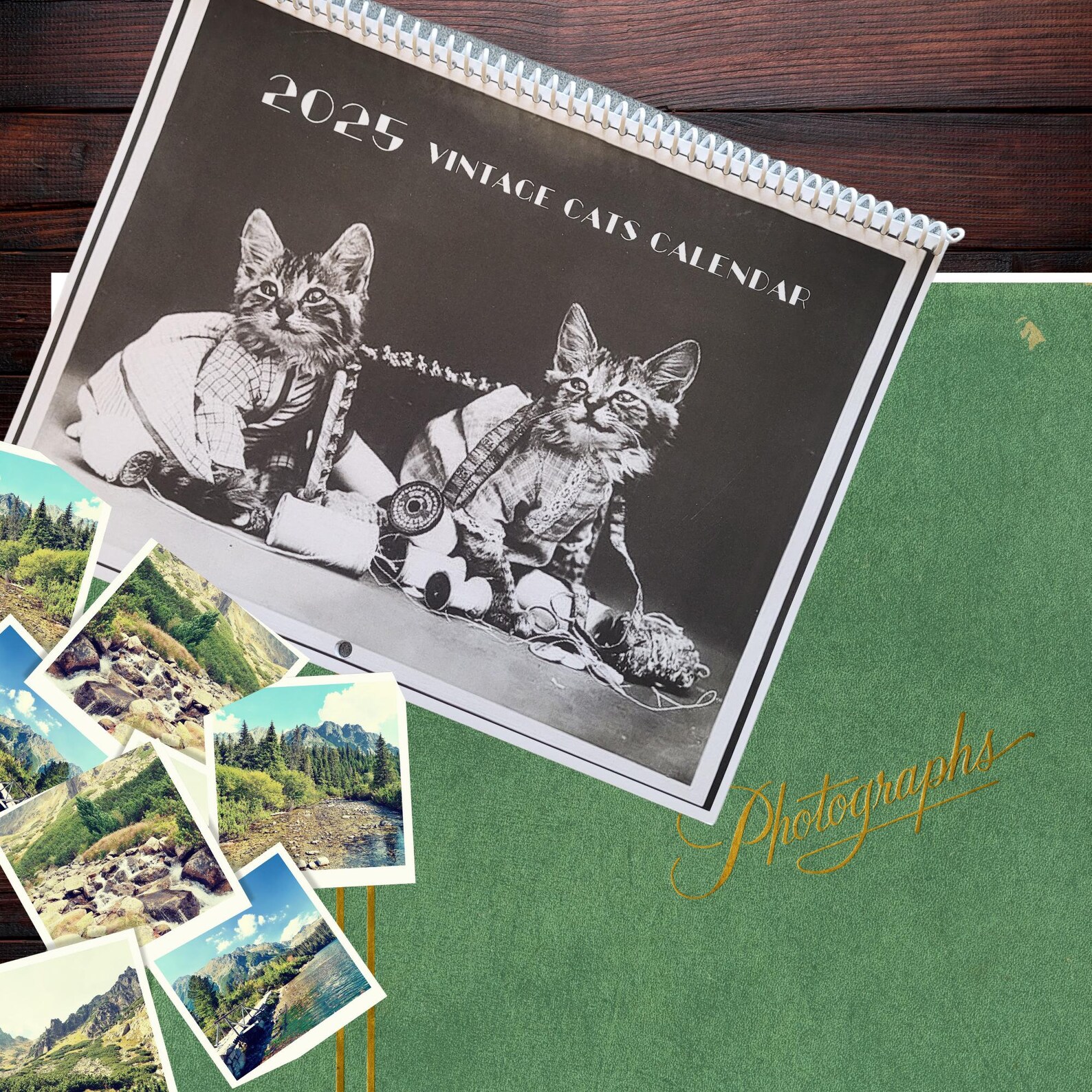 2025 Wall Calendar, Vintage Cat Photos, Interesting Cat Calendar, 11x17 ...