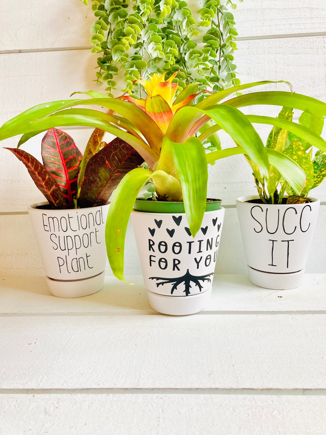 Punny Plant Pots Funny Planters 4 Inch Planter Succ It - Etsy
