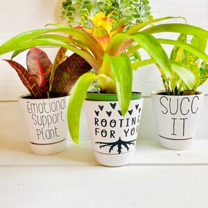 Punny Plant Pots, Funny Planters, 4 Inch Planter, Succ It, Rooting for ...
