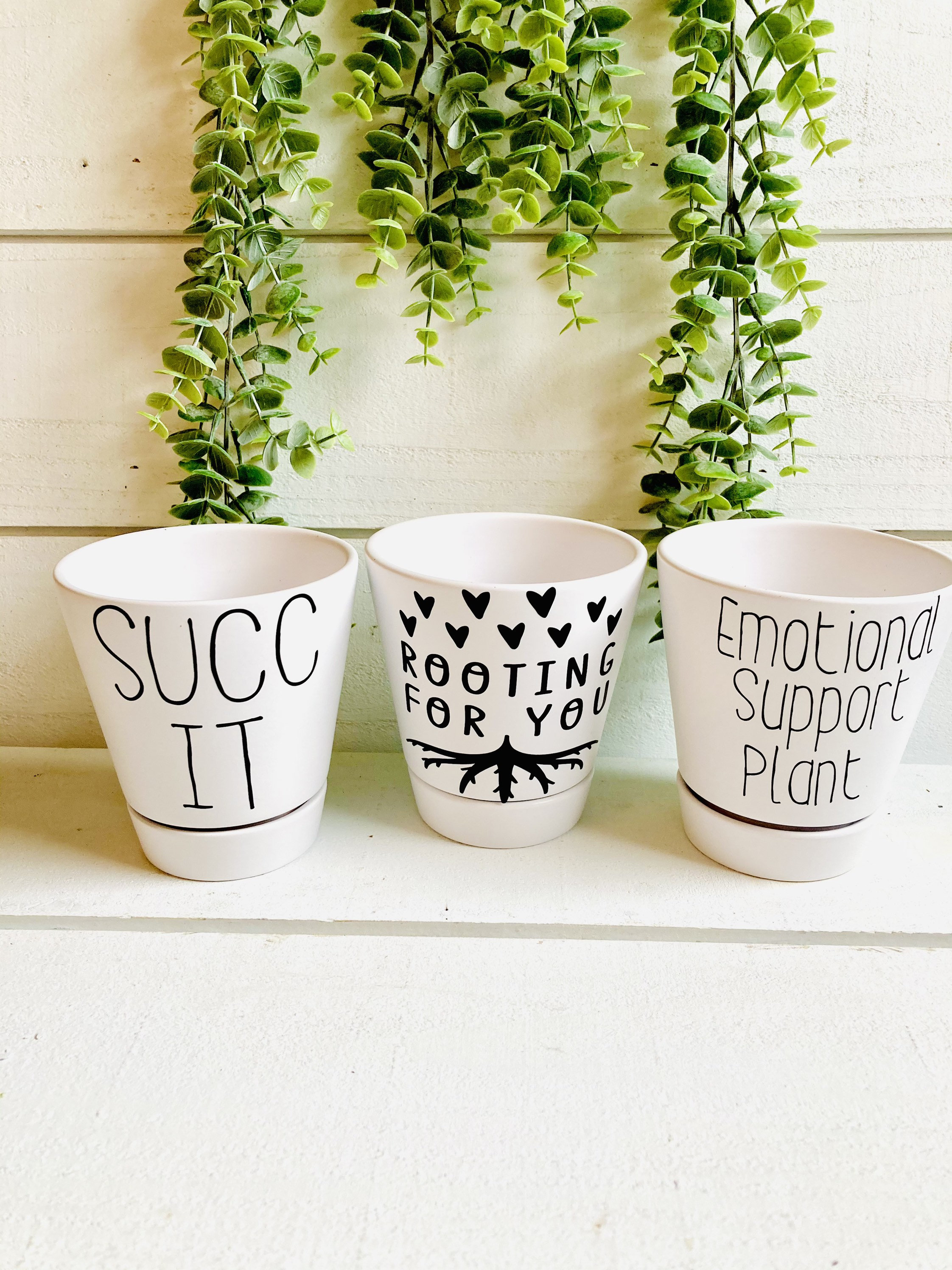 Punny Plant Pots Funny Planters 4 Inch Planter Succ It - Etsy