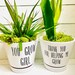 Custom Text Plant Pot, Indoor Garden, Personalized Planter, Green Thumb ...