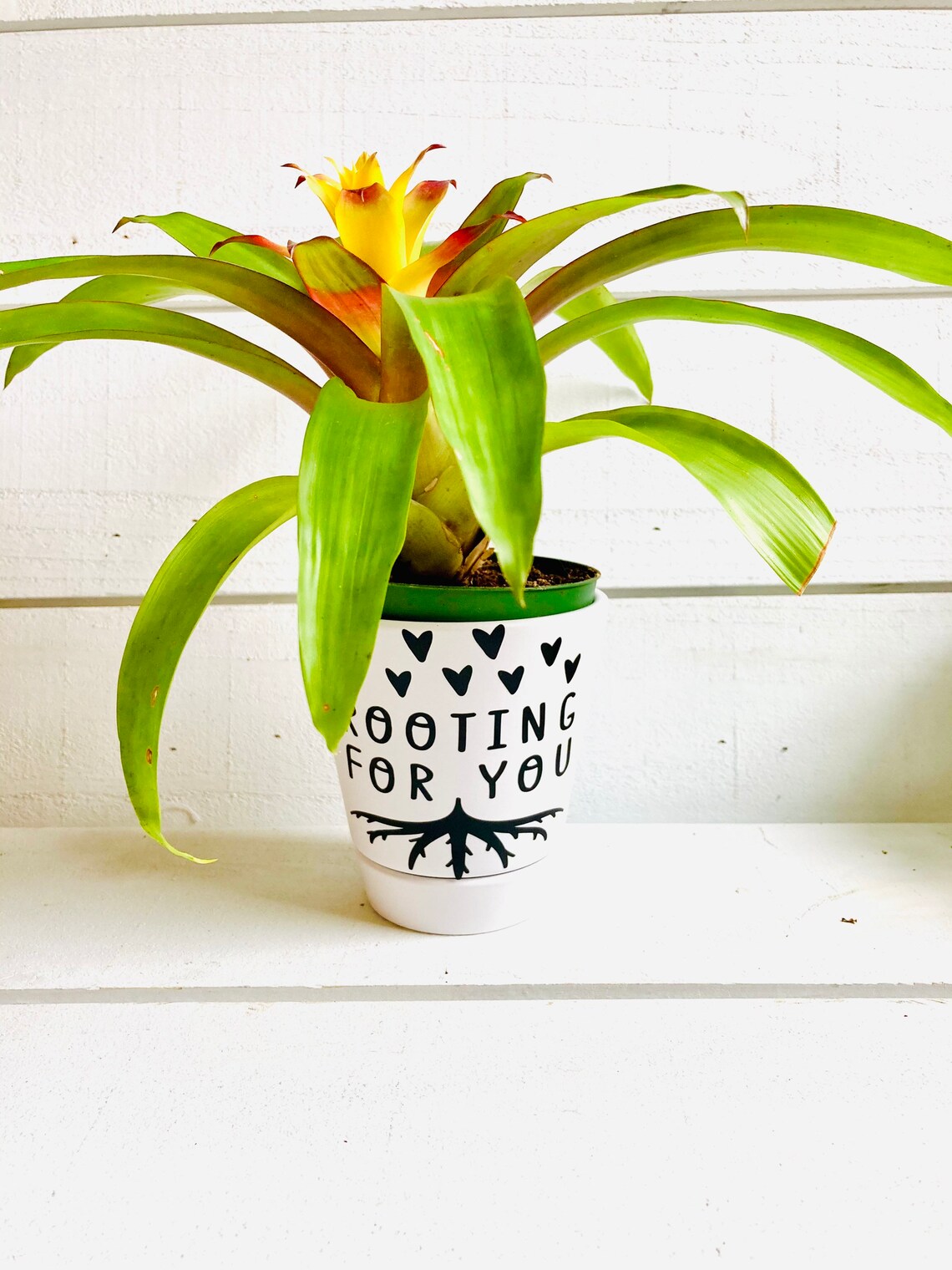 Punny Plant Pots Funny Planters 4 Inch Planter Succ It - Etsy