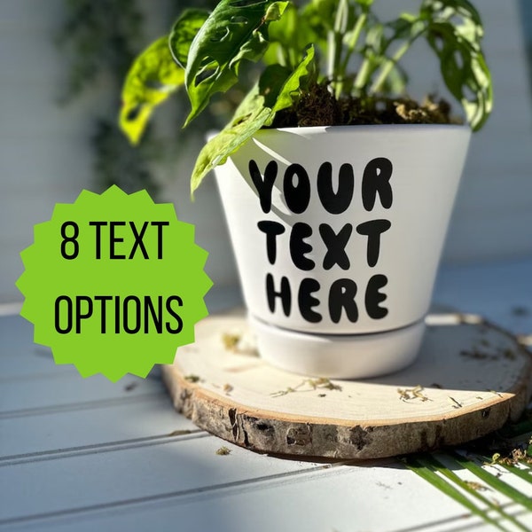 Indoor Plant Pots - Etsy