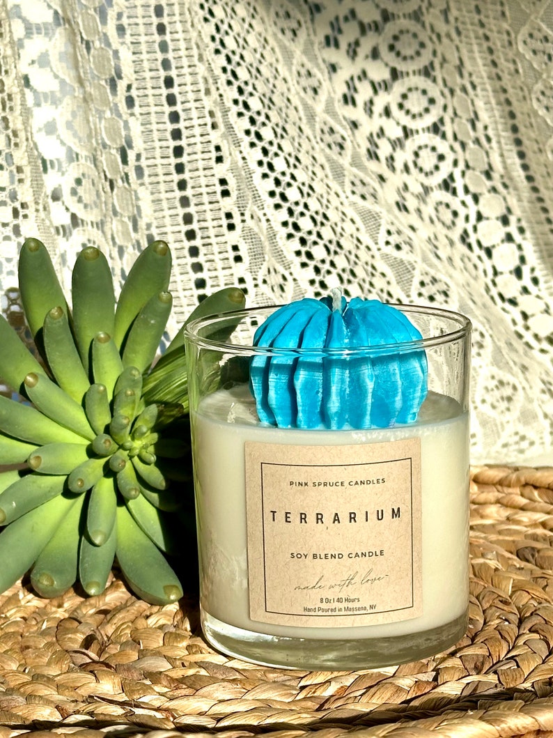 3D Succulent Candle, Terrarium Candle, Cactus Candle, Plant Lover ...