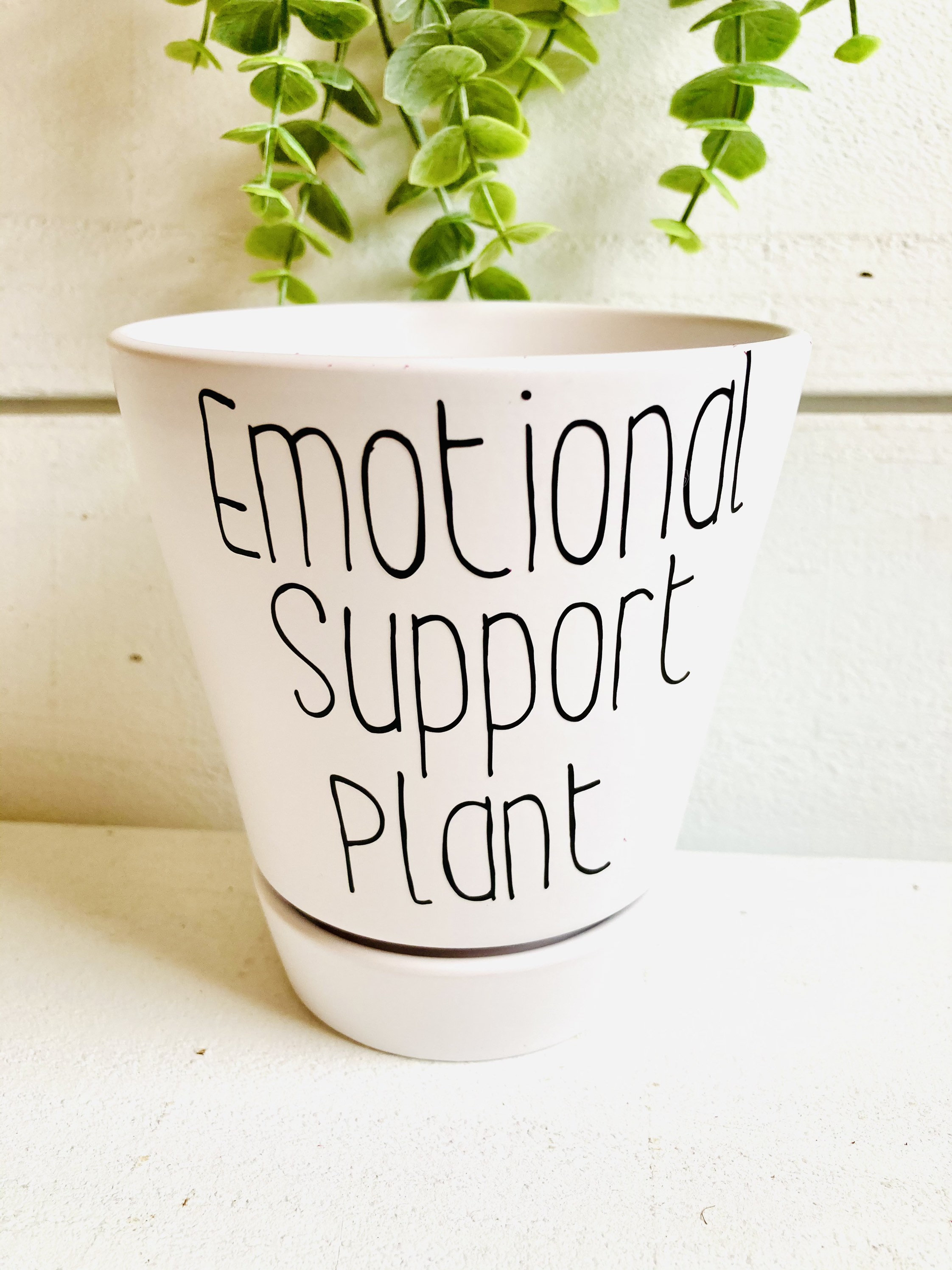 Punny Plant Pots Funny Planters 4 Inch Planter Succ It - Etsy