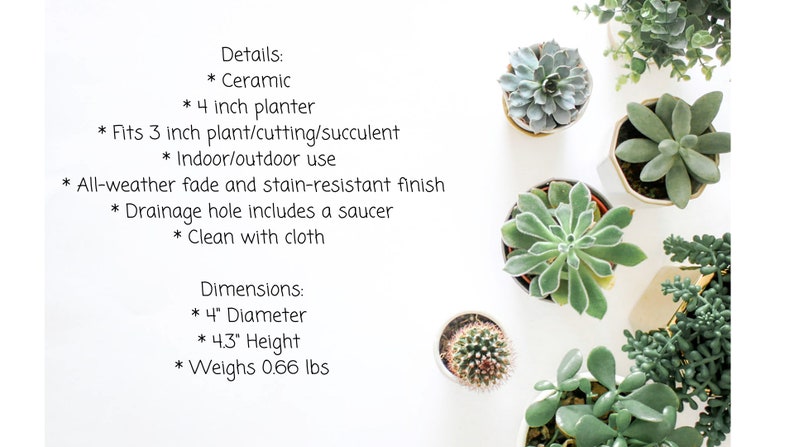 Custom Text Plant Pot Indoor Garden Personalized Planter - Etsy