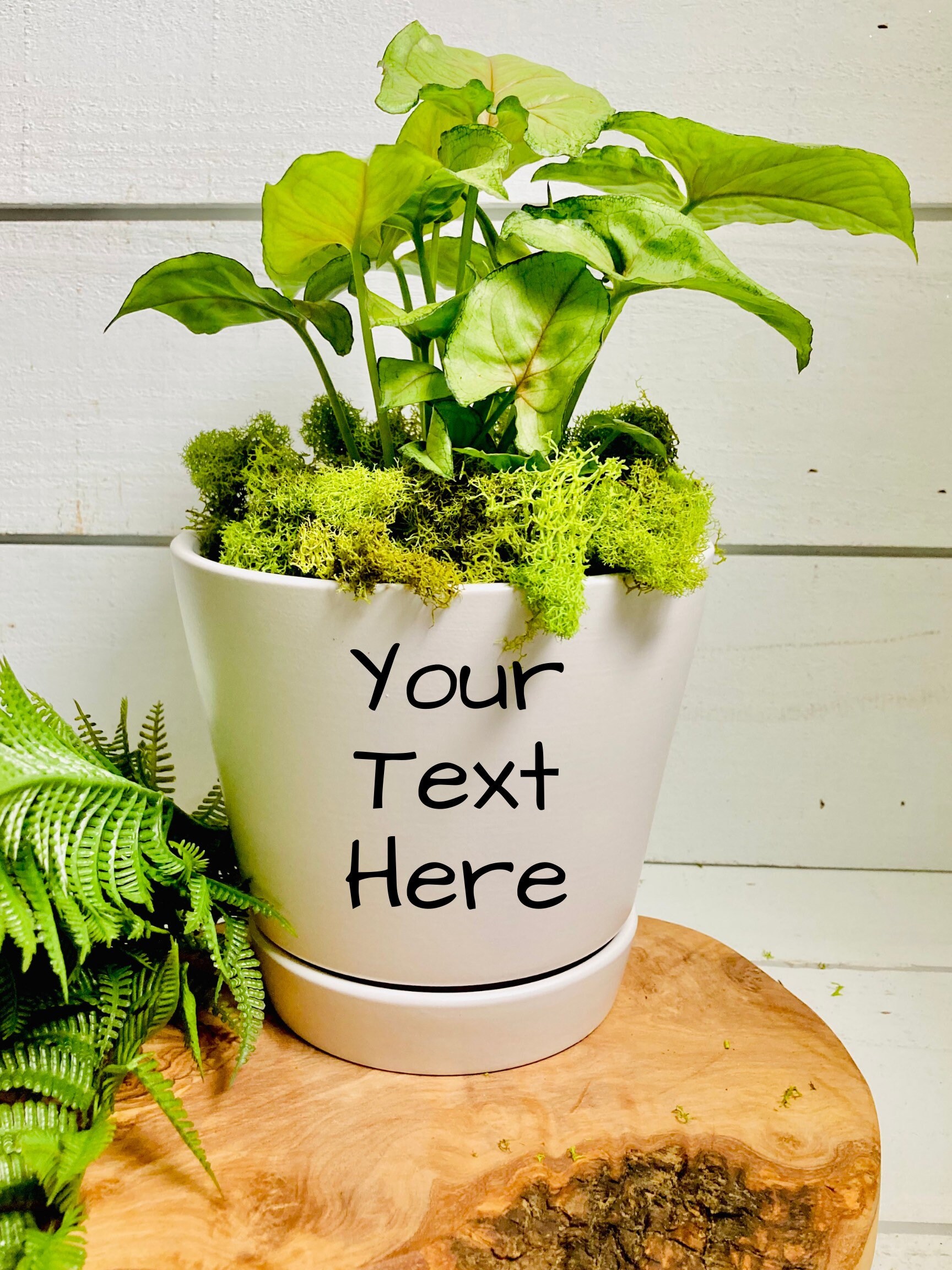 Custom text plant pot indoor garden personalized planter - Etsy.de