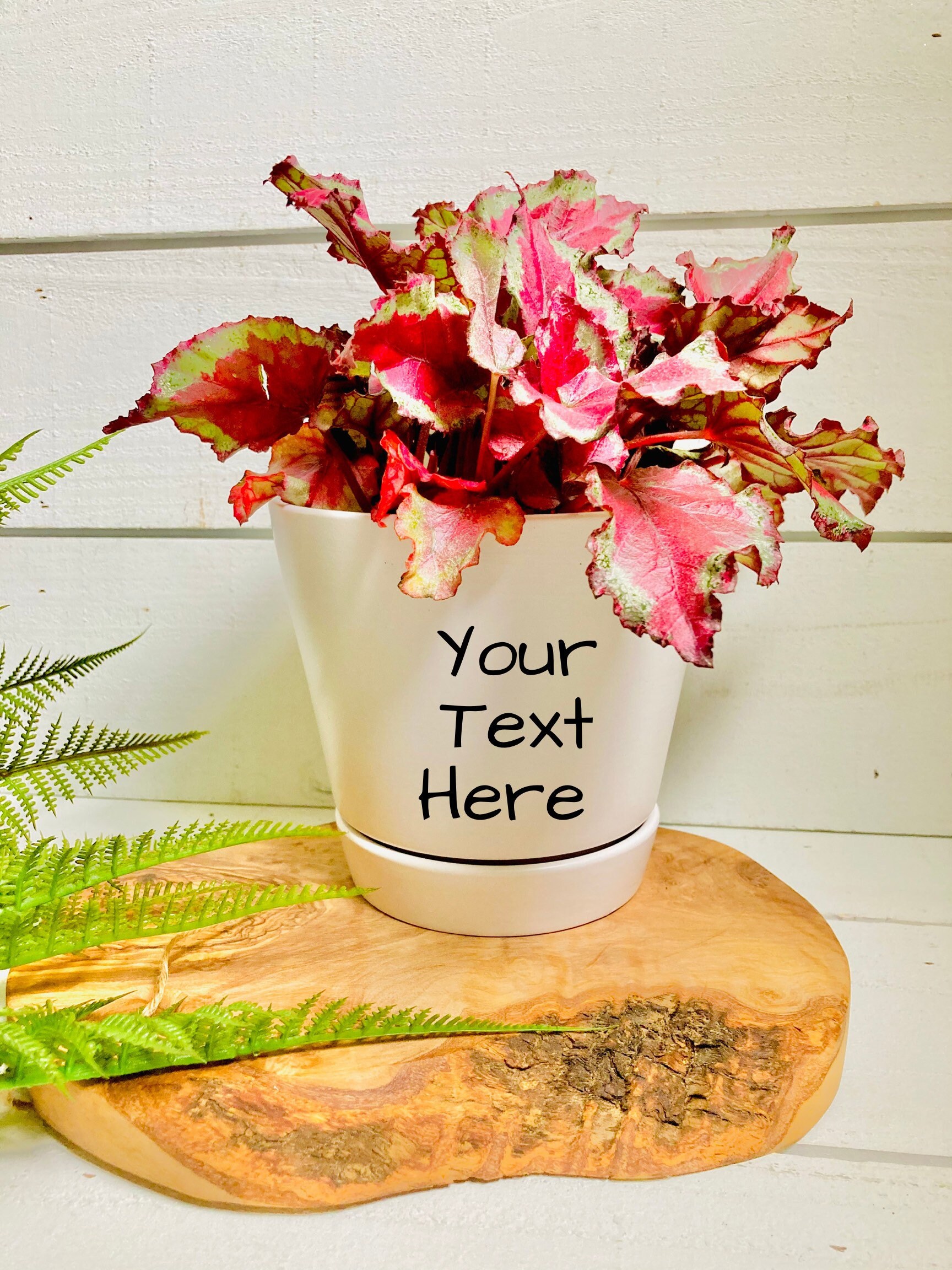 Custom text plant pot indoor garden personalized planter - Etsy.de