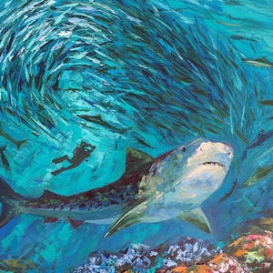 Tiger Shark Painting Fish Original Art Sardines Seascape Oil Painting ...