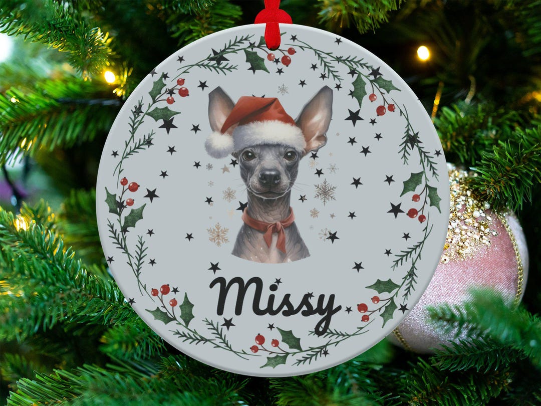 Custom Xoloitzcuintli Dog Ornament With Santa Hat, Personalized ...