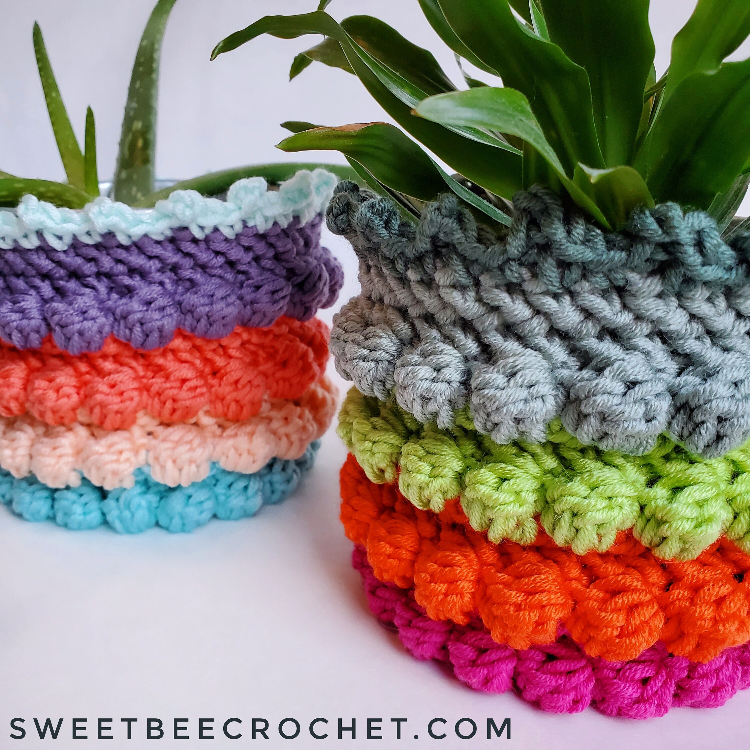 Bobble Pop Crochet Plant Cozy (crochet Pattern) - Etsy