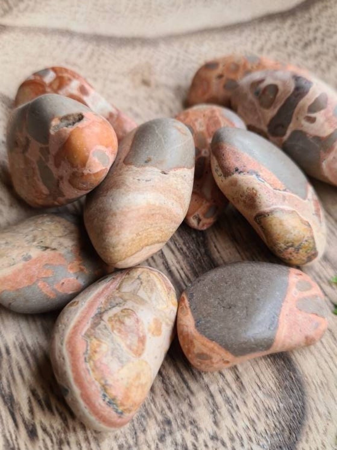 High Quality Leopardskin Jasper Tumblestone - Etsy