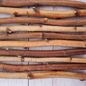 10 Small Birch Craft Logs 12" Sticks for Decor Projects Wall Hanging ...