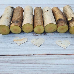 Hand Cut Birch Log Segments 3"-4", Pack of 10 for Crafts Woodworking ...
