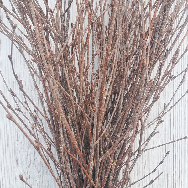 Birch Branches - Etsy