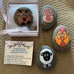 Farm Animal Pocket Pet Rocks - Etsy