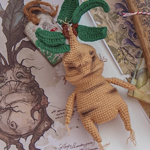 Mandrake Crochet Pattern - Plant Crochet - Amigurumi Mandragora - Cute ...
