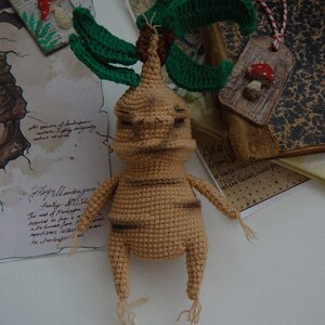 Mandrake Crochet Pattern - Plant Crochet - Amigurumi Mandragora - Cute ...