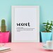Secret Definition Printable DIGITAL DOWNLOAD Funny Definition Poster ...