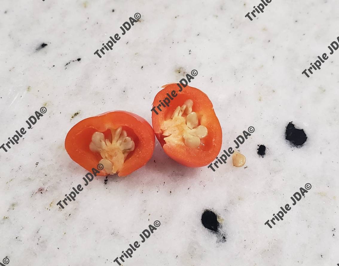 SEEDS Aji Dulce EL SABROSITO 50 Fresh Seeds - Etsy