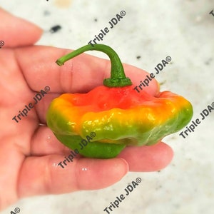SEEDS Aji Dulce Puerto Rico Sweet Pepper | 75 Heirloom Seeds | Capsicum ...