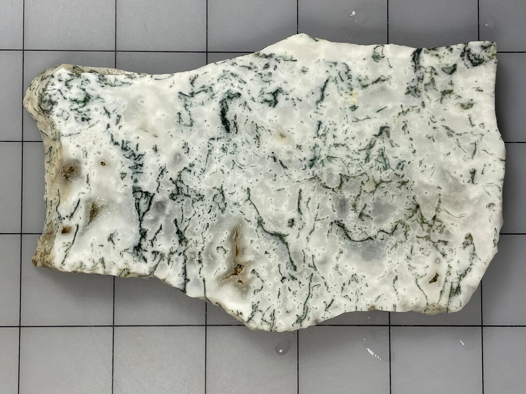 Tree Agate, Moss Agate Slab - Etsy