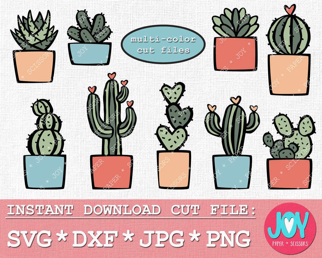 Cactus Svg Bundle, Succulents Svg Bundle - Cactus Svg, Succulent Svg ...