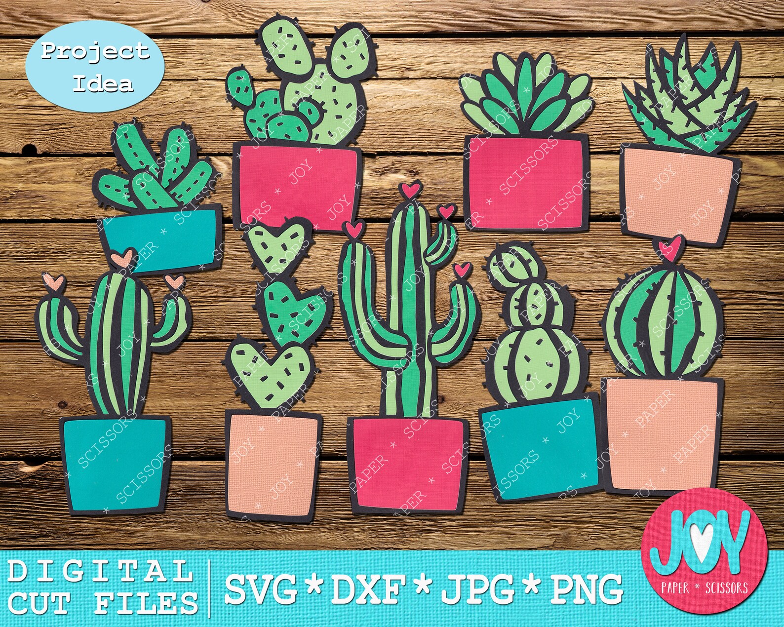 Cactus Svg Bundle, Succulents Svg Bundle Cactus Svg, Succulent Svg ...