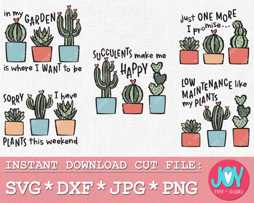 Cactus Svg Bundle - Succulent Svg Bundle, Succulent Sayings Svg, Cactus ...