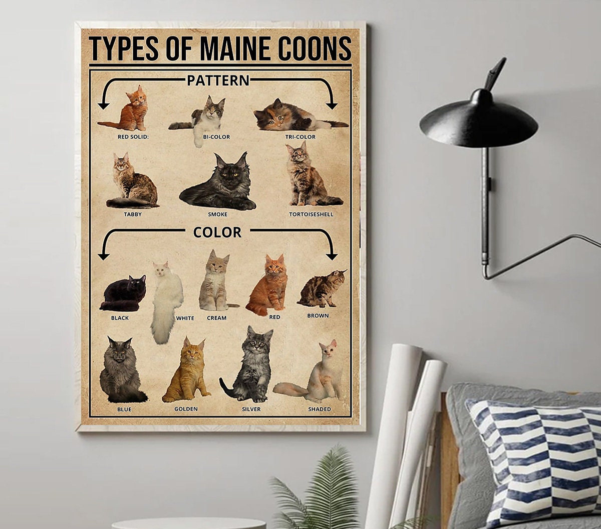 Types Of Maine Coon Cat Knowledge Poster, Maine Coon Poster, Cat ...