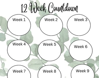 12 Week Loss Chart - Etsy