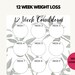 Printable Weight Loss Tracker Chart 12 Week Countdown Digital Instant ...