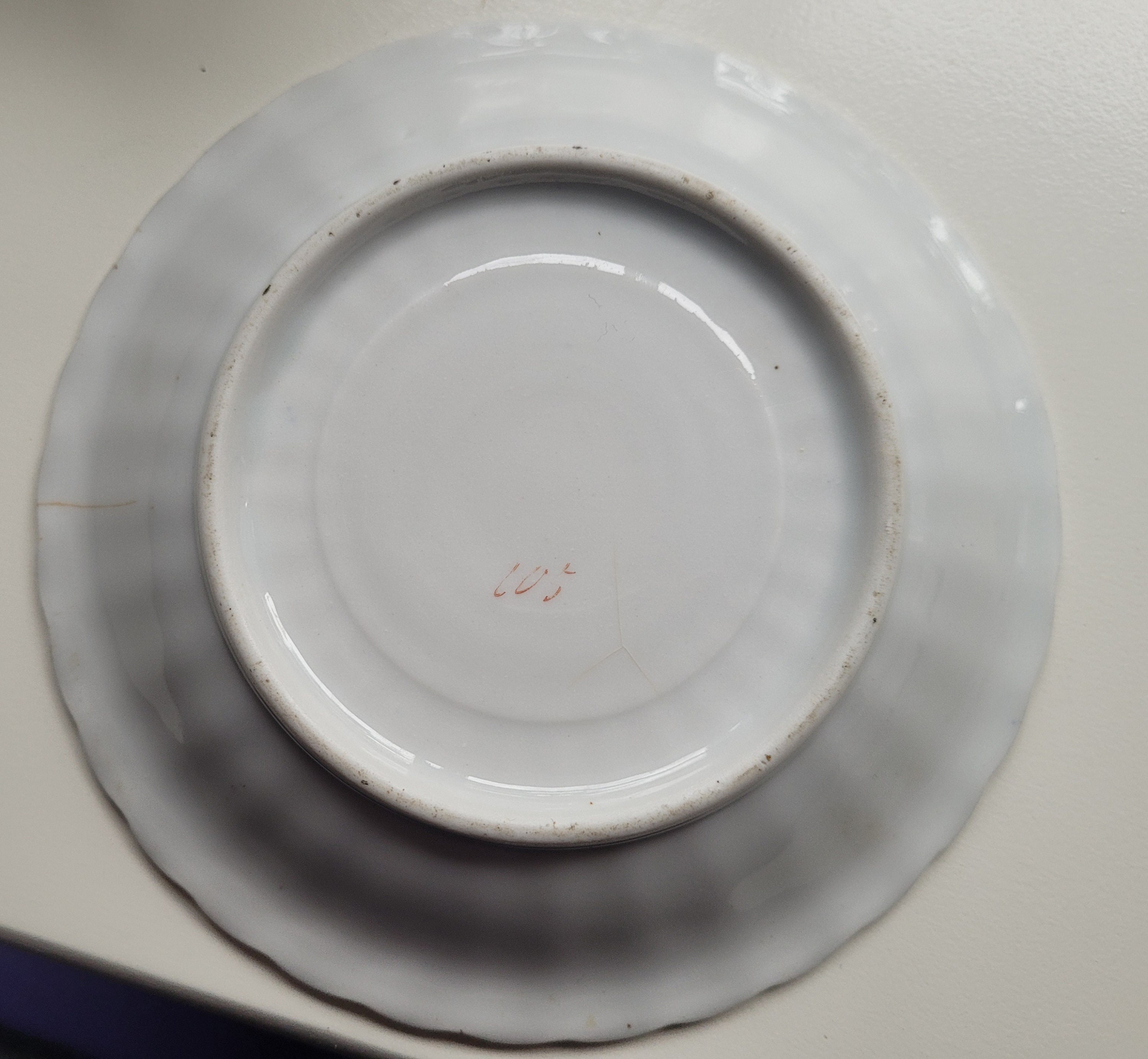 Vintage German forget Me Not Bone China Teacup and Saucer - Etsy