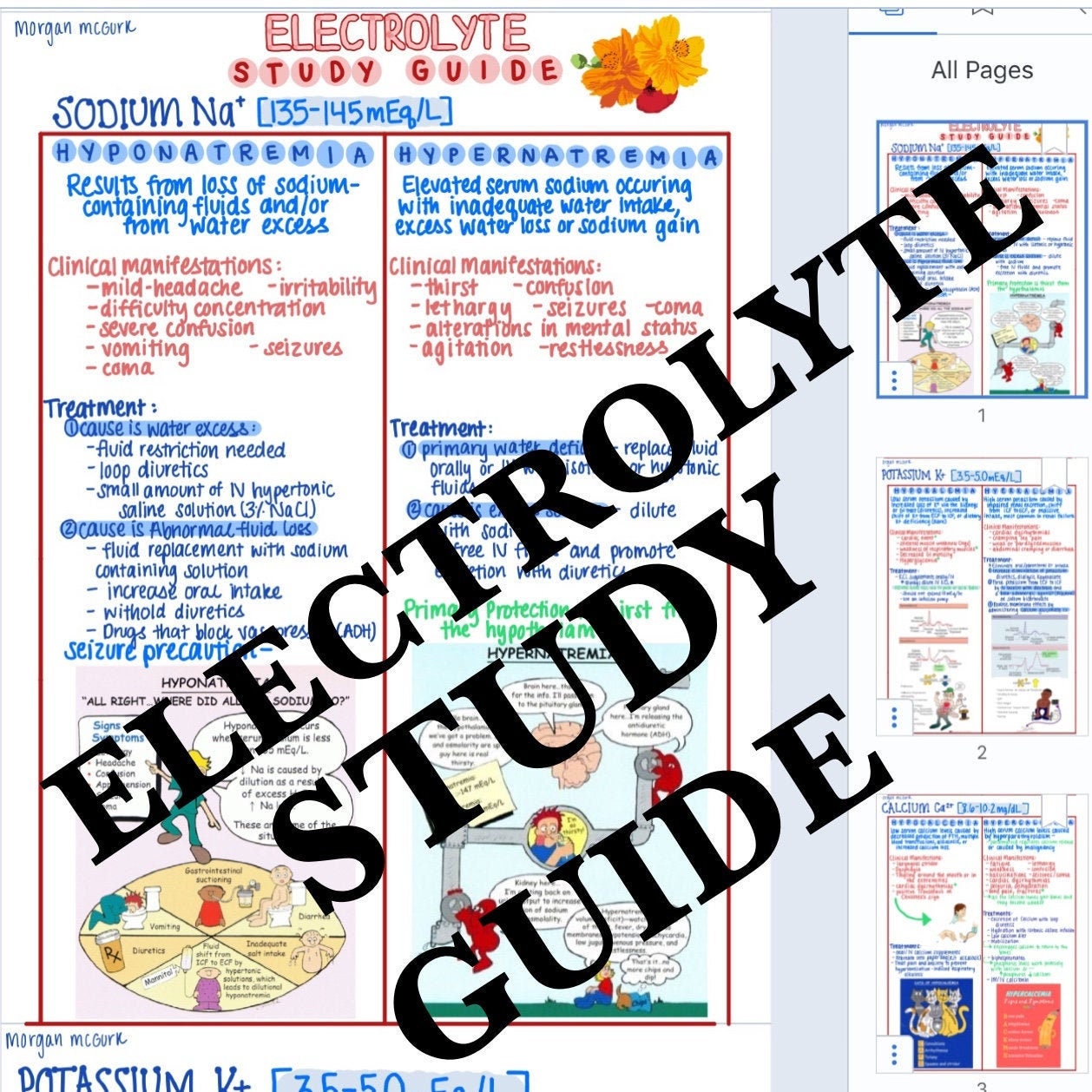 Electrolyte Study Guide - Etsy