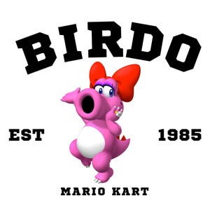 Birdo Character T-shirt | Retro Gaming Tee | Super Mario Series Graphic ...