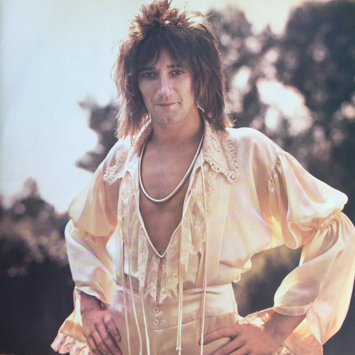 Rod Stewart Smiler / Vinyl - Etsy