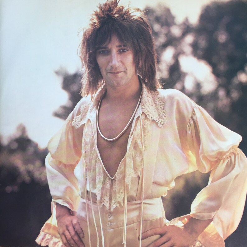 Rod Stewart Smiler / Vinyl - Etsy