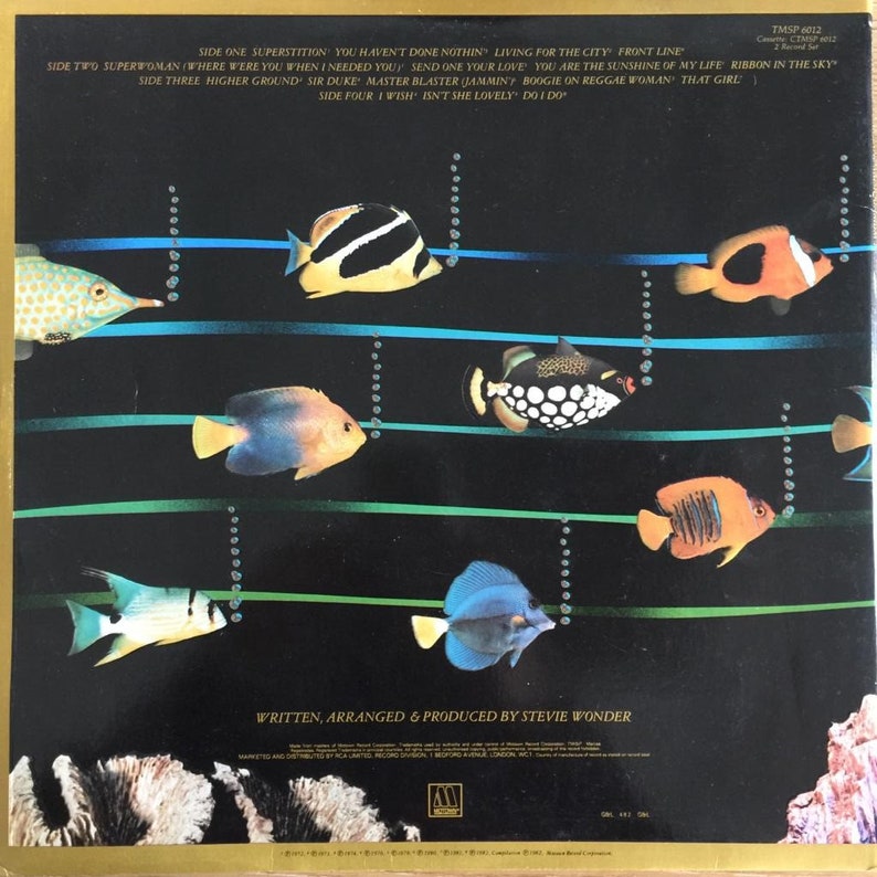 Stevie Wonder, Original Musiquarium / Vinyl / Gift - Etsy