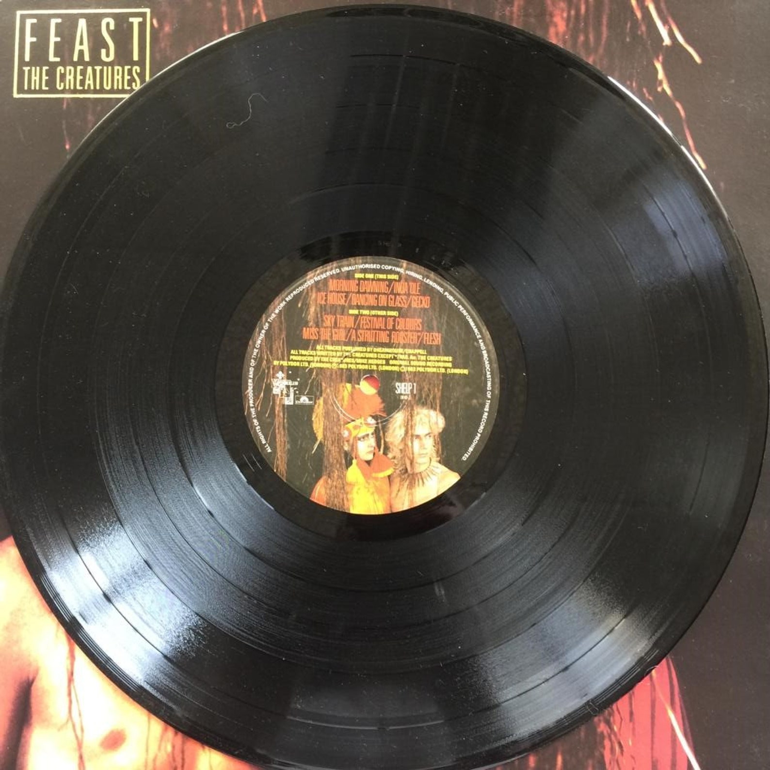 The Creatures, Feast / Vinyl / Gift Vinyl/ Groove Vinyl - Etsy
