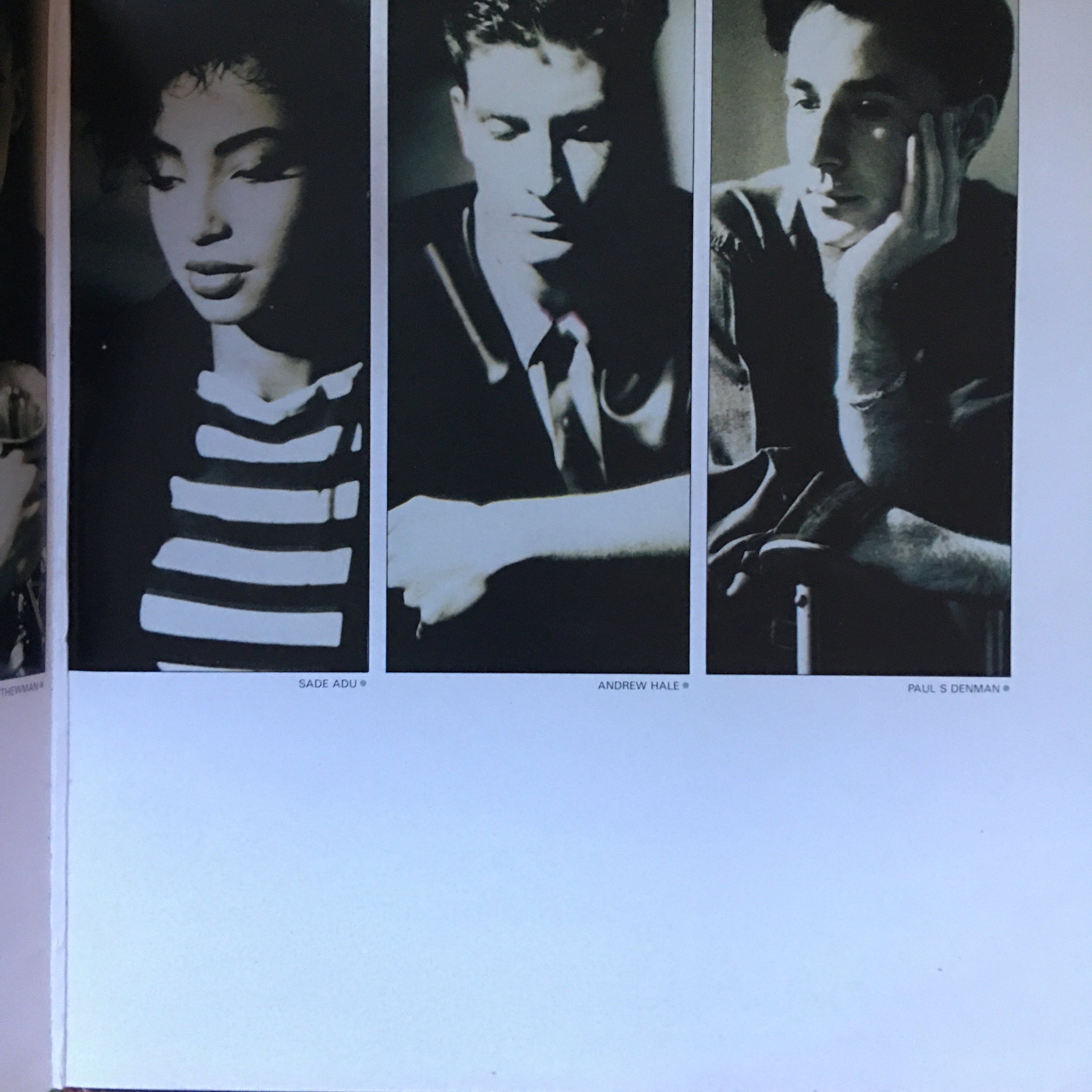 Sade, Diamond Life / Vinyl - Etsy