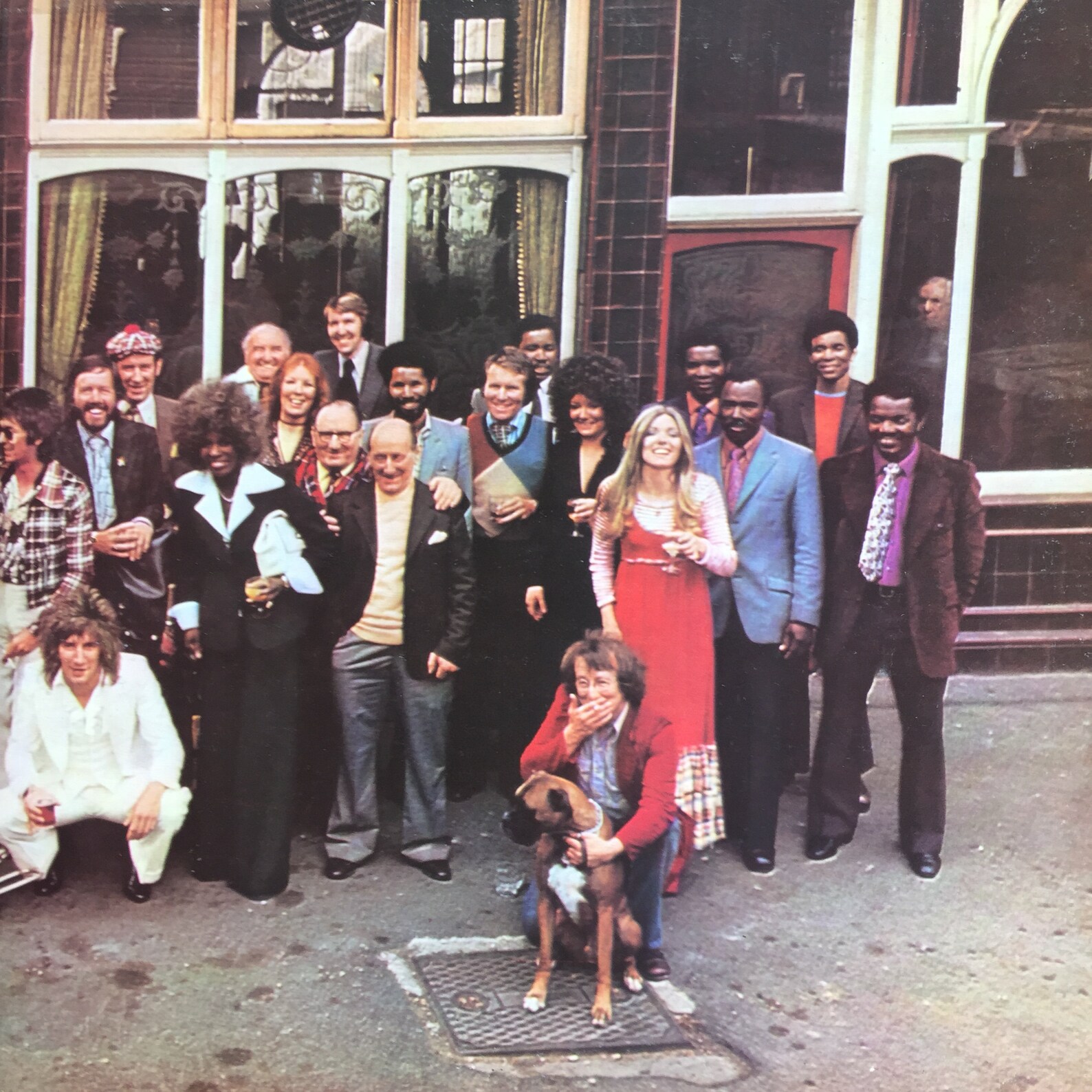 Rod Stewart Smiler / Vinyl - Etsy