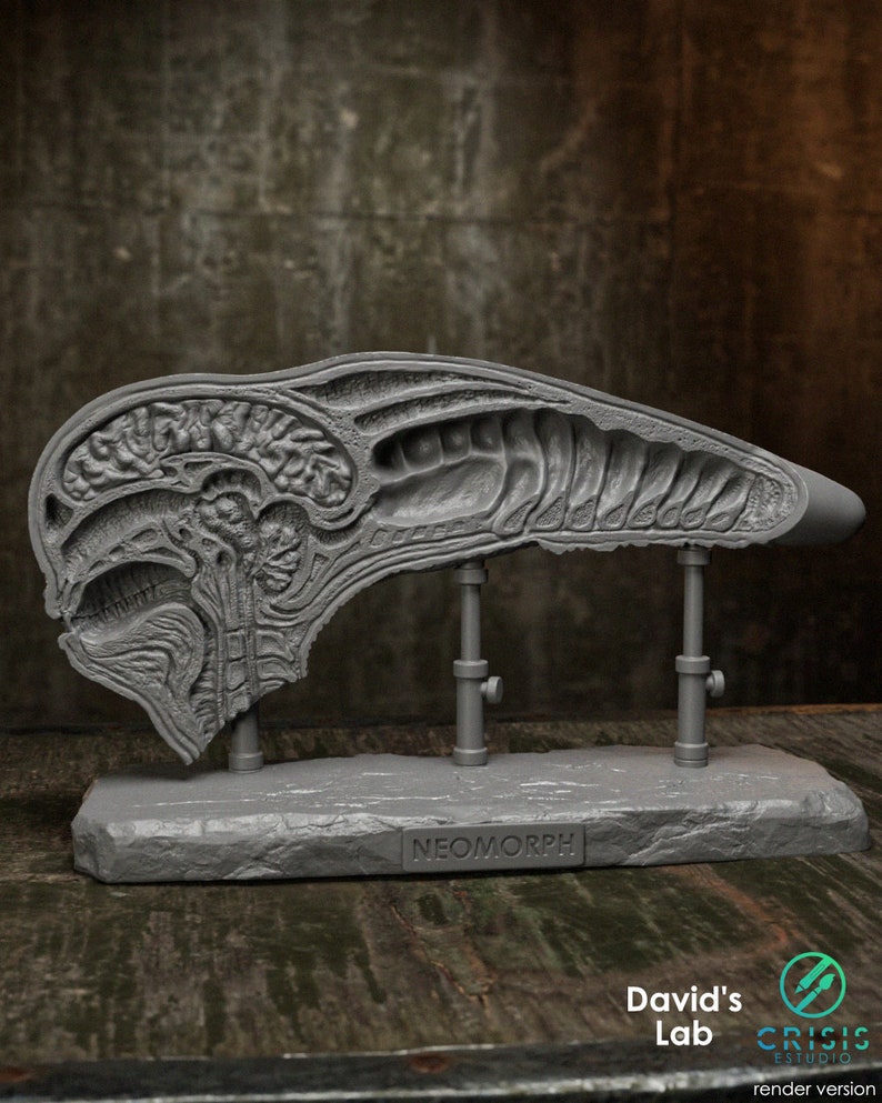Alien Covenant- Dissected Neomorph Head, David's Lab - Etsy