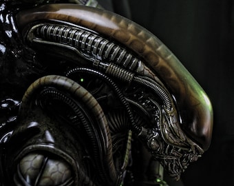 Alien Xenomorph Head Wall Mount - Etsy